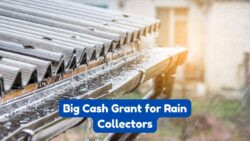 Need Capital for Your Business? SEFA Loans Provide R50,000–R15 Million ...